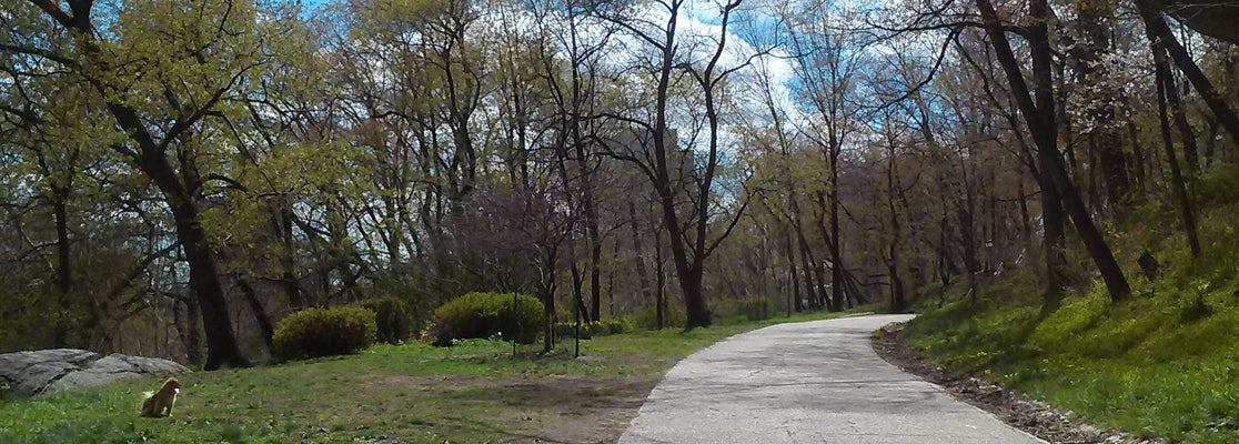 St. Nicholas Park - Park in West Harlem