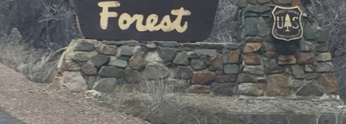 Wasatch National Forest - 1 tip from 585 visitors