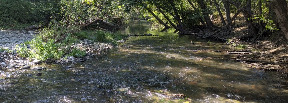 Sunol Regional Wilderness - Nature Preserve in Sunol