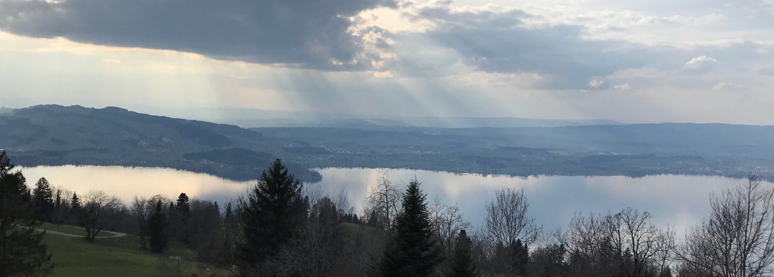 Zugerberg - Hiking Trail