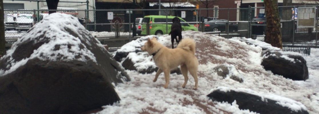 Chelsea Waterside Park Dog Run - Chelsea - 19 tips