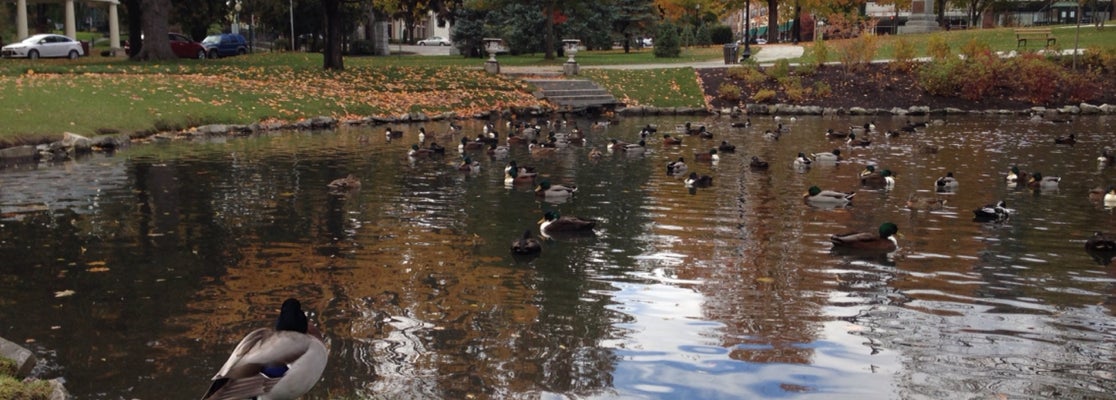 Congress Park - 24 tips