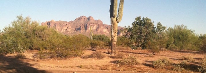 Prospector Park - Apache Junction, AZ
