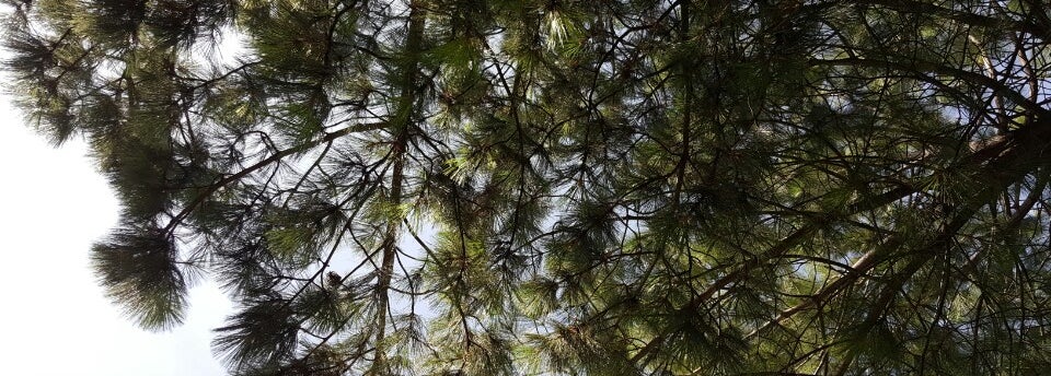 Parque Ecológico Revolución Mexicana - Park in Puebla