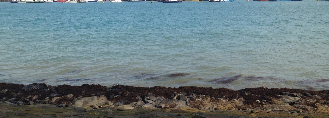 Marina South Pier - Pier in Central Region