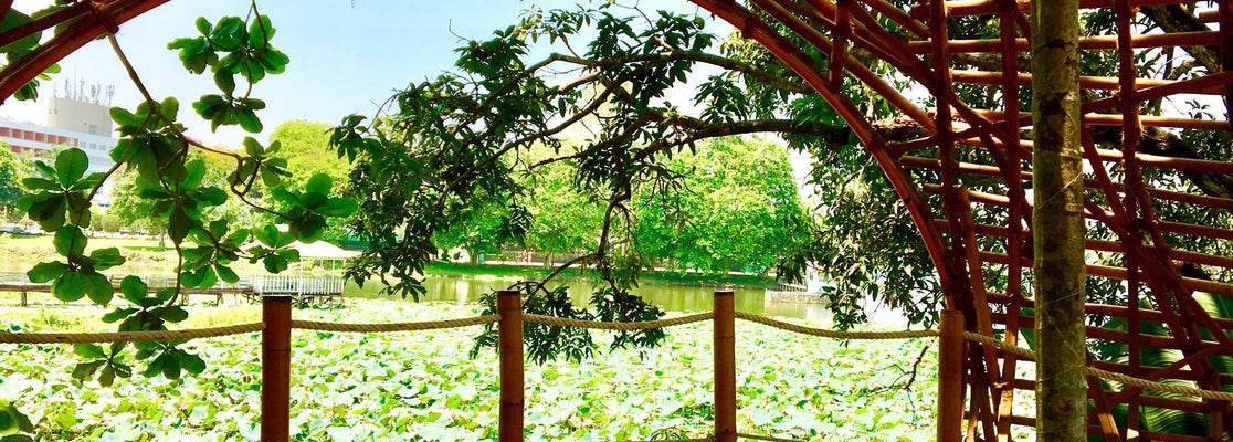 Seeds Restaurant - 5 tips