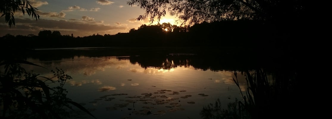 Fendrod Lake - Llansamlet, Swansea, City and County of Swansea - 3 tips