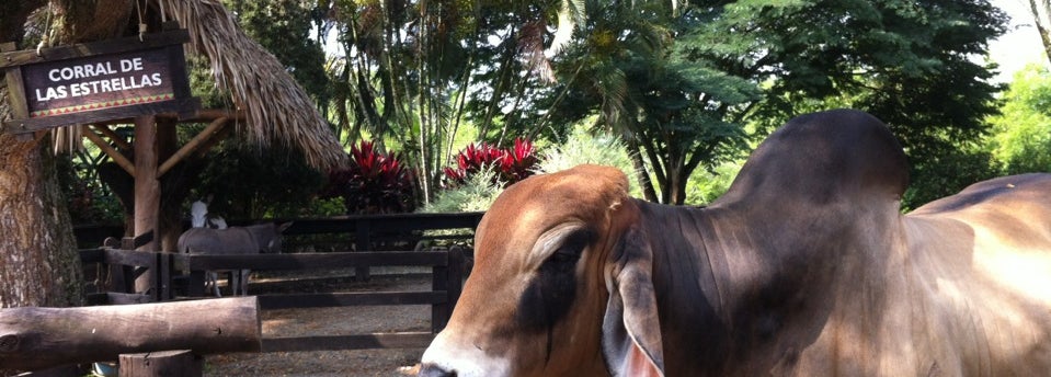 Parque Panaca - Amusement Park in Quimbaya