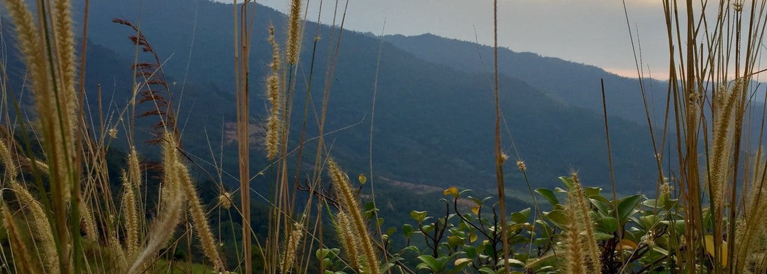 Broga Hill (Bukit Broga) - Broga Town