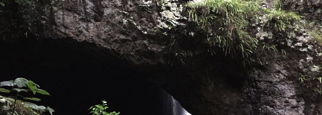 Natural Bridge - Springbrook National Park