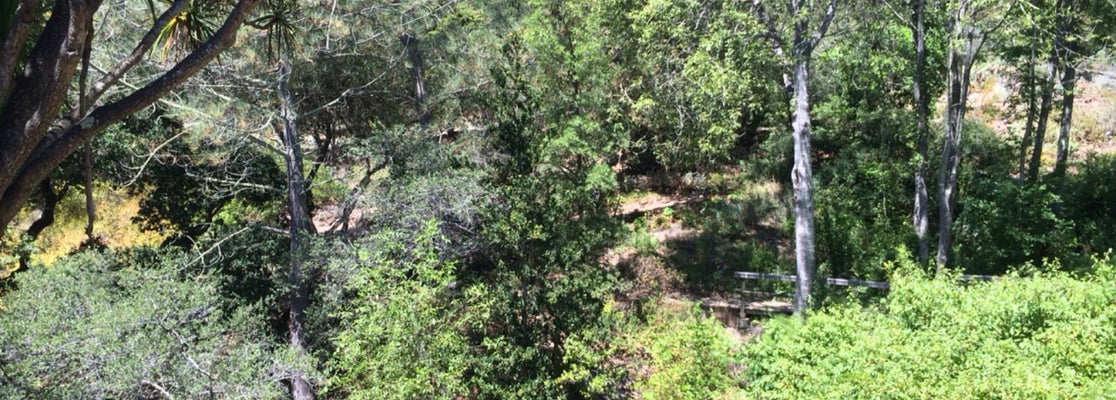 UC Berkeley Botanical Gardens - Botanical Garden in Berkeley