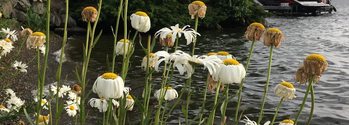 Marsh Park - 14 tips from 667 visitors