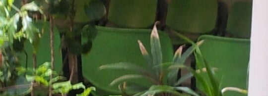 Indira Gandhi Memorial Hospital (IGMH) - Maafannu - 116 tips from 3783 ...