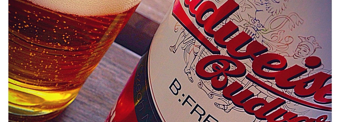 Písník Mělice - Lake