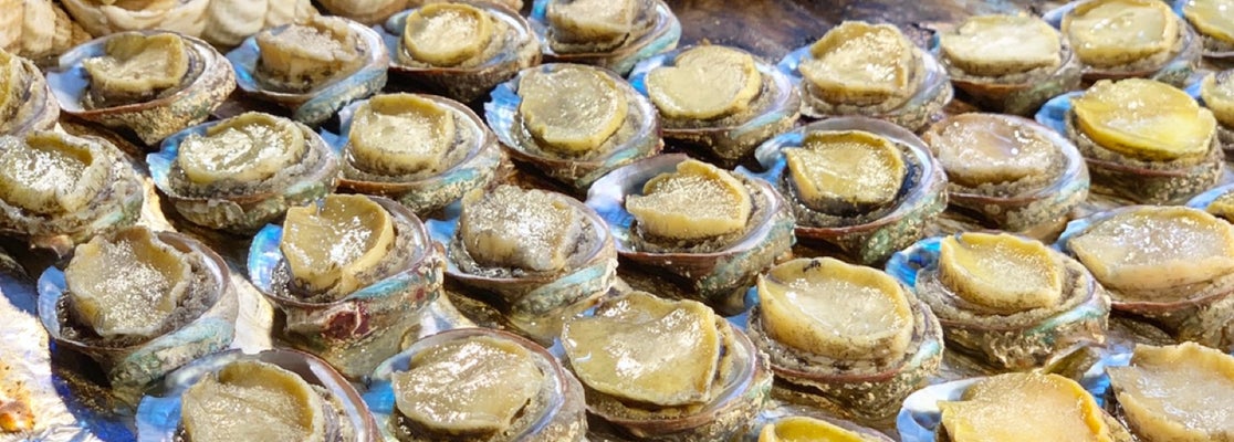 墾丁大街 Kenting Main Street - Night Market