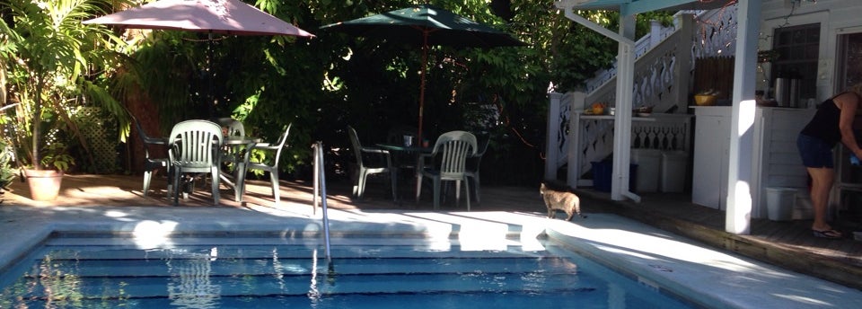 Blue Parrot Inn - Bed and Breakfast