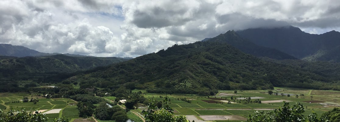 Hanalei Valley Lookout - Scenic Lookout in Hanalei
