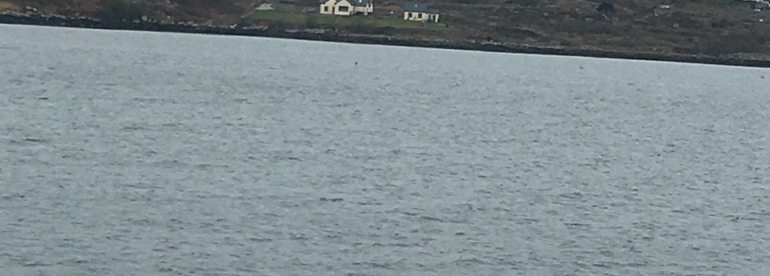 Ferry to Inis Mor - 2 tips