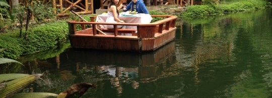 Mindo Lago - 5 tips from 70 visitors