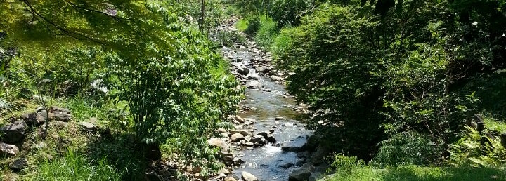 Parque Lineal La Presidenta - El Poblado - 22 tips from 716 visitors