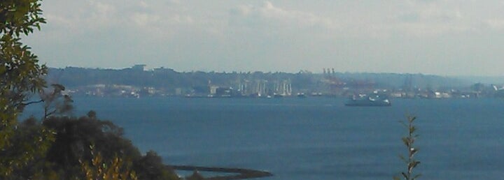 Magnolia Boulevard Viewpoint - Scenic Lookout in Seattle