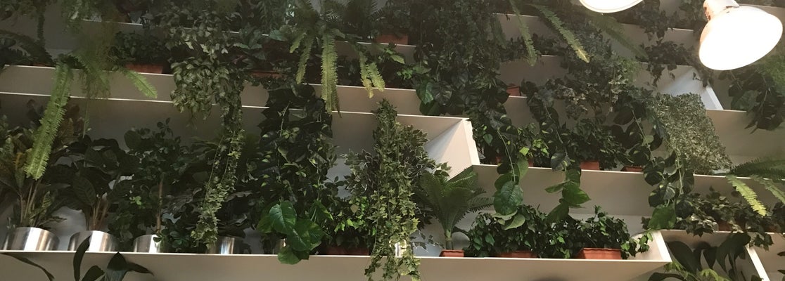 Baku Cafe - 37 tips from 833 visitors