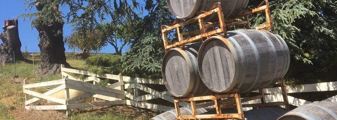 Point Reyes Vineyard Inn and Winery - 1 tip from 128 visitors