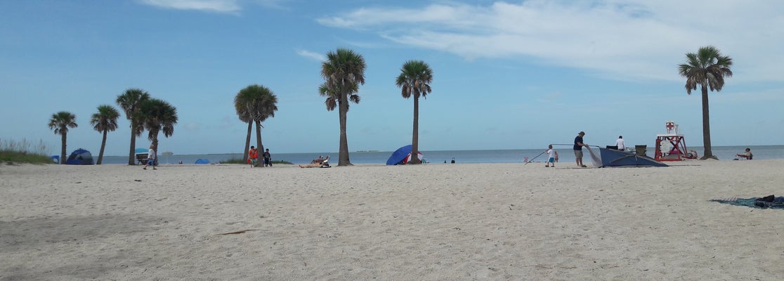 Fred Howard Park Beach - Beach