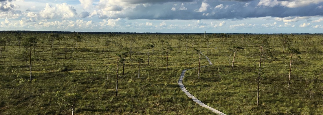 Soomaa Rahvuspark - Hiking Trail