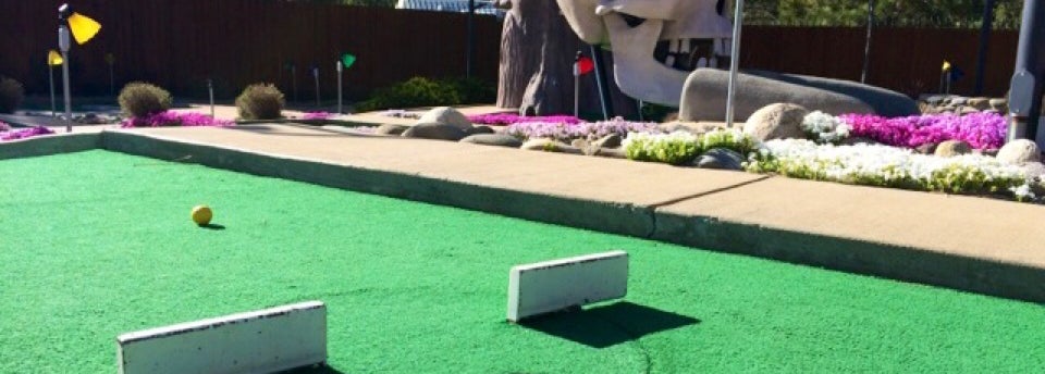 Magic Carpet Golf - 4 tips from 327 visitors