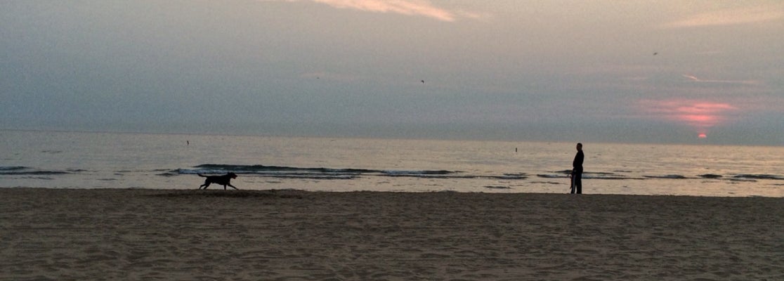Foster Beach - Beach in Chicago