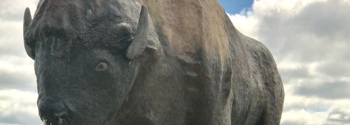 World's Largest Buffalo - Jamestown, ND