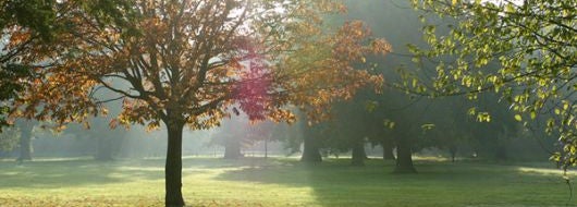 Tooting Bec Common - Park in London