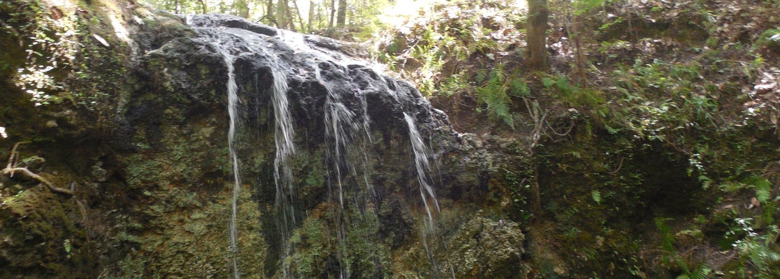 Falling Waters State Park - State or Provincial Park in Chipley