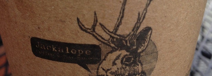 Jackalope Coffee & Tea - Bridgeport - Chicago, IL