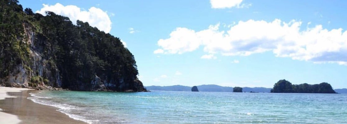 Hahei Beach - Beach