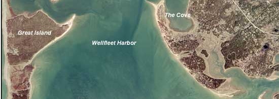 Wellfleet Harbor - Wellfleet, MA
