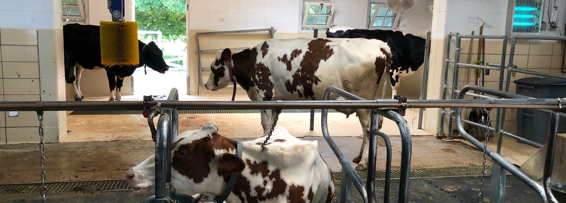 Farm-in-the-Zoo - Farm in Chicago