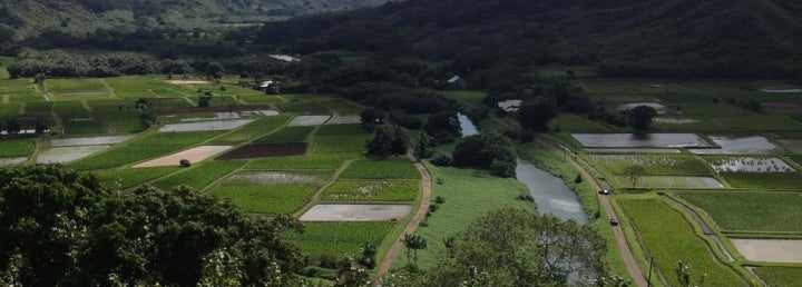 Hanalei Valley Lookout - Scenic Lookout in Hanalei