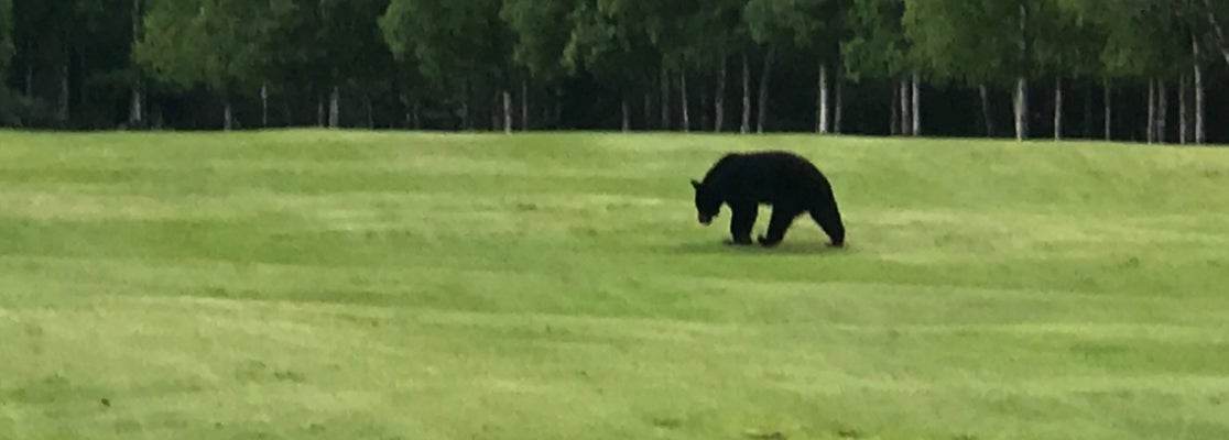 Moose Run Golf Course - 3 tips from 88 visitors