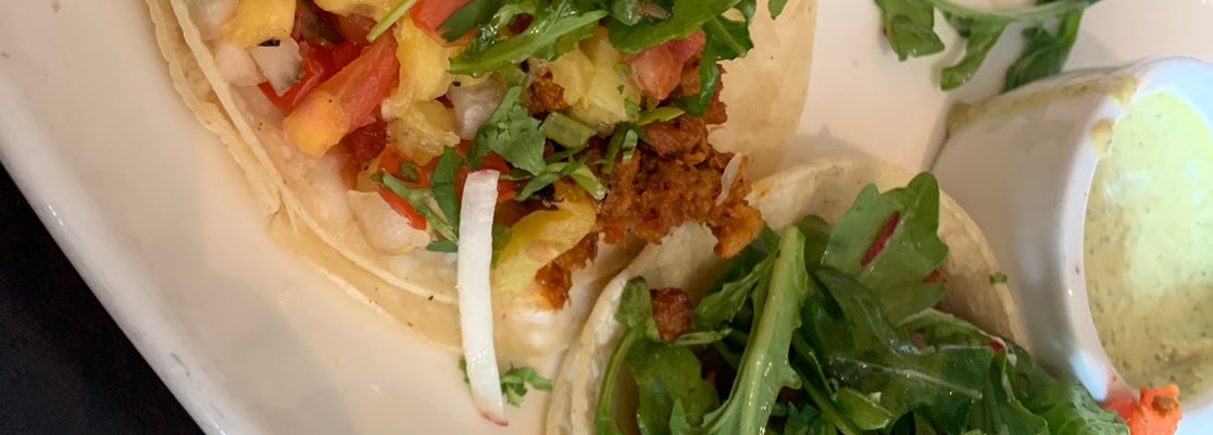 Wild Salsa - Dallas, TX