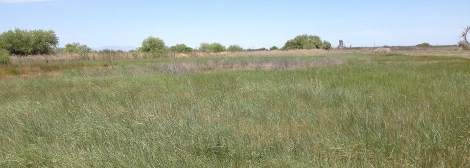 Mendota Slough - River