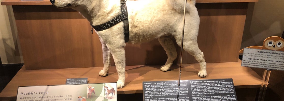 国立科学博物館 (National Museum of Nature and Science) - 台東区 - 107 tips