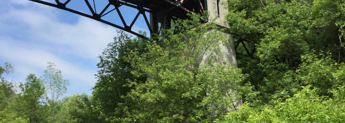 Cedarvale Park - Field