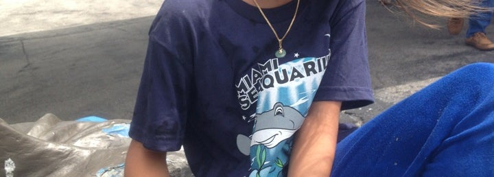 Addison Mizner Elementary - 5 tips from 107 visitors