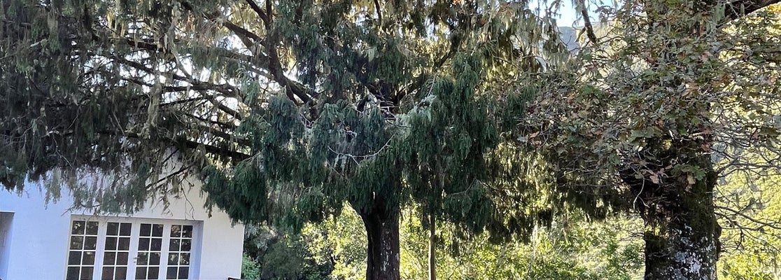 Levada das 25 Fontes - Hiking Trail