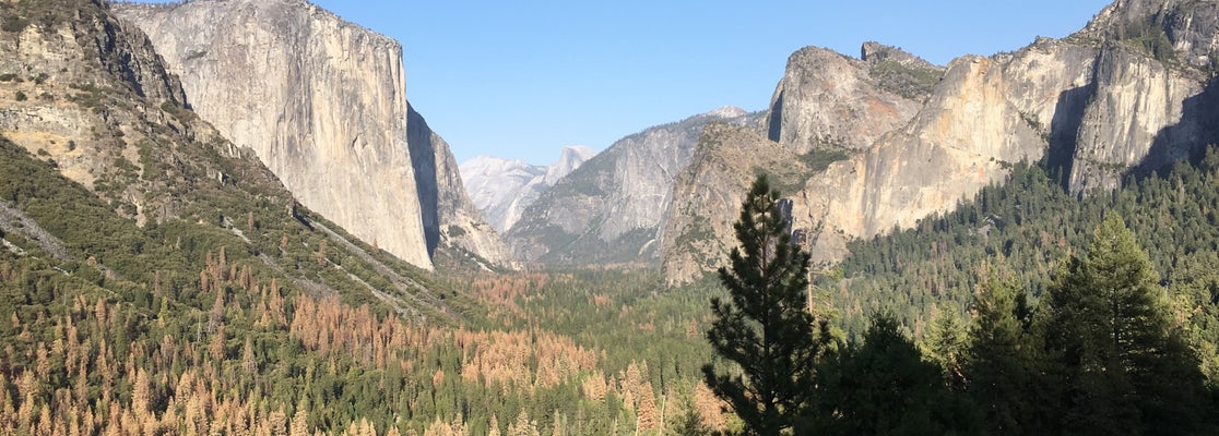 Yosemite National Park - 277 tips from 24327 visitors