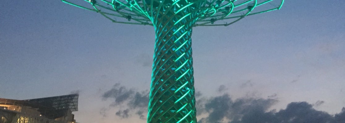 Albero della Vita - Lake Arena