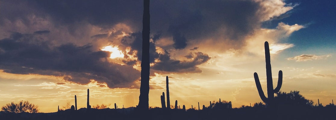 Arizona-Sonora Desert Museum - Museum in Tucson
