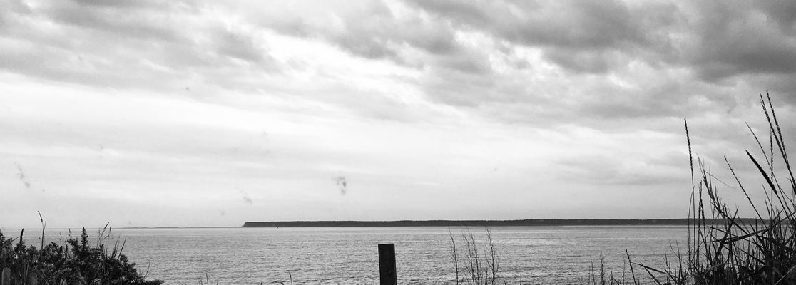 Broughty Ferry Beach - 3 tips from 166 visitors